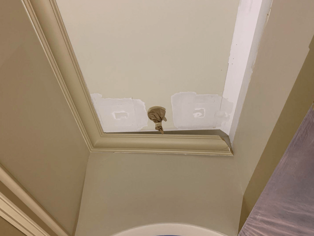 Applied Structural Drying | Dry Force