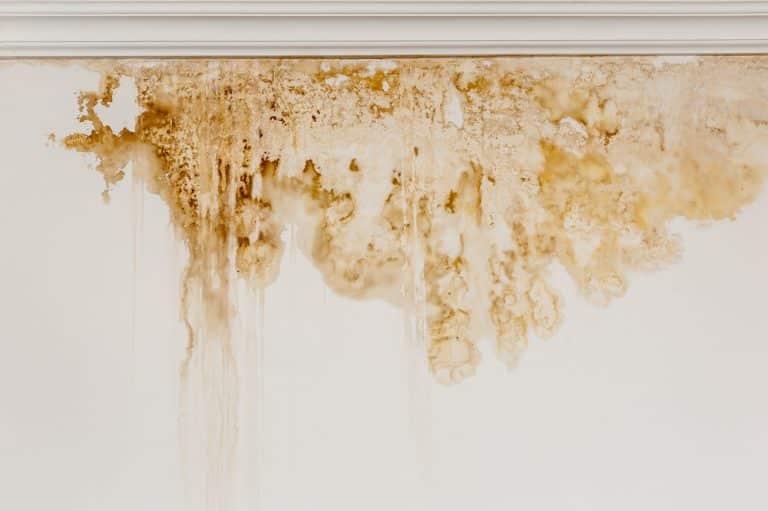 How to Repair Water Damage to Your Drywall & Ceiling