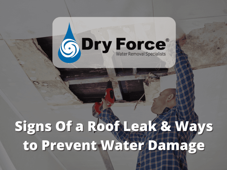 Top 8 Signs Of a Roof Leak & Ways to Prevent Water Damage | Dry Force