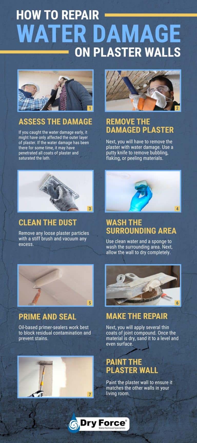 How to Repair Water Damage On Plaster Walls | Dry Force
