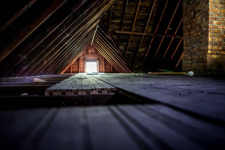 How to Respond to Water Damage in Your Attic | Dry Force