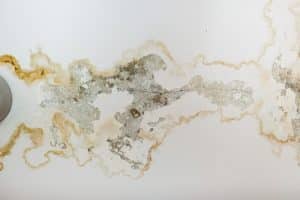 4 Causes of Water Stains On Your Ceiling & Ways to Respond